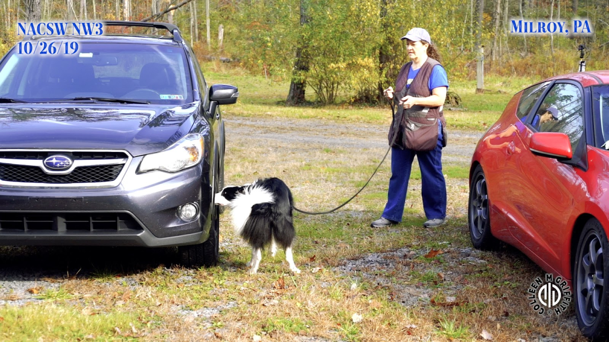 Dede Crough - Dog Training Center of Chester County